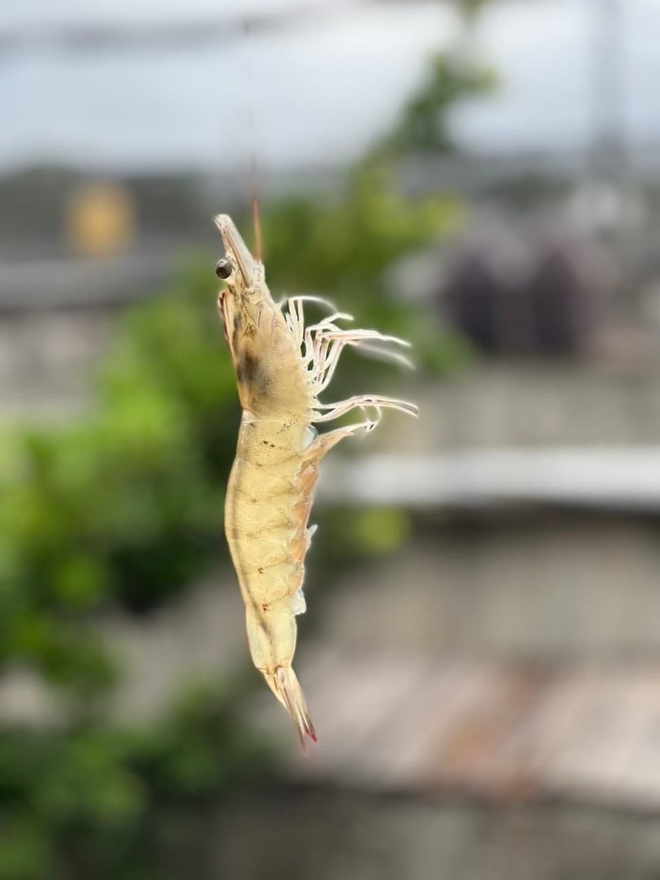 暑期工讀!! 臺東大學板 Dcard