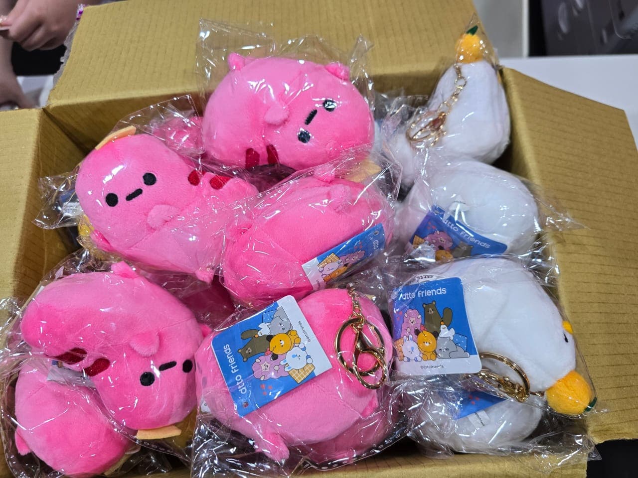 🤯只有一天！UTAR Sg.Long 的快来抽Dtto Friends！ - UTAR板 | Dcard