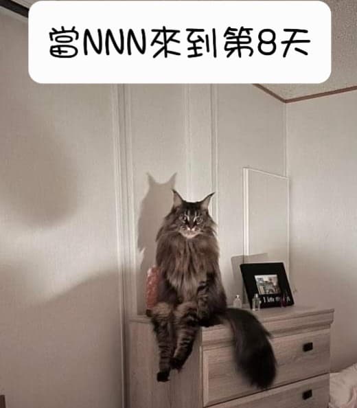 NNN第8天 - 梗圖板 | Dcard