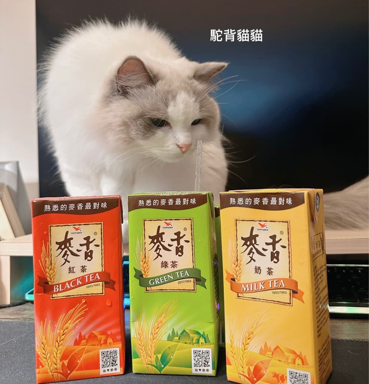 翠老師教你用麥香摺出三色坦克！ - 翠花爸 (@doge_g.m) | Dcard