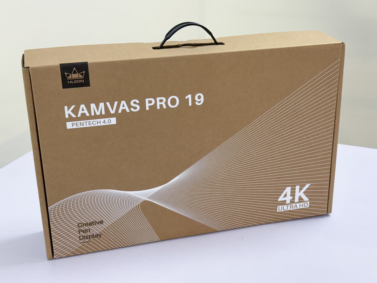 高CP值的液晶螢幕繪圖板 HUION （繪王）「Kamvas Pro 19」開箱使用體驗 - 🌵仙人掌🌵 (@ffyak) | Dcard