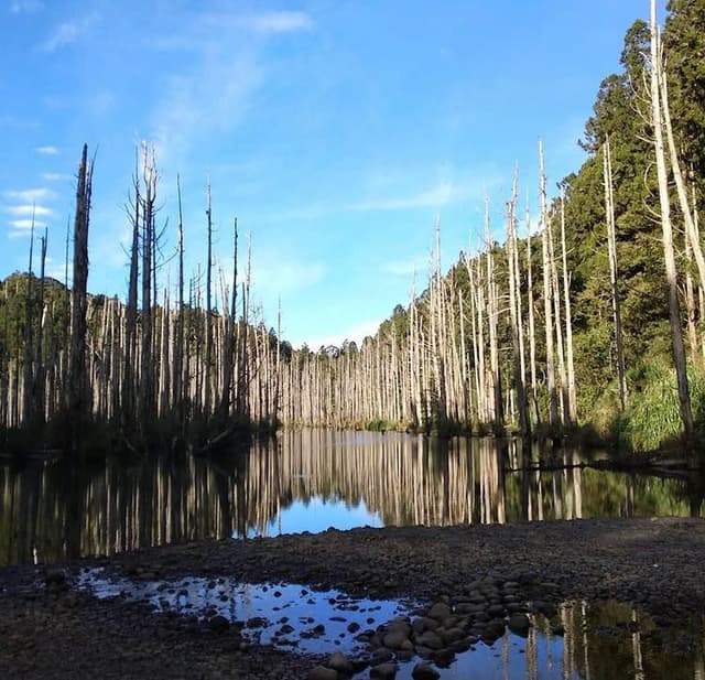 爬山日記 part 2。水漾森林 - 這邊這個優秀小青年 (@cl_20) | Dcard