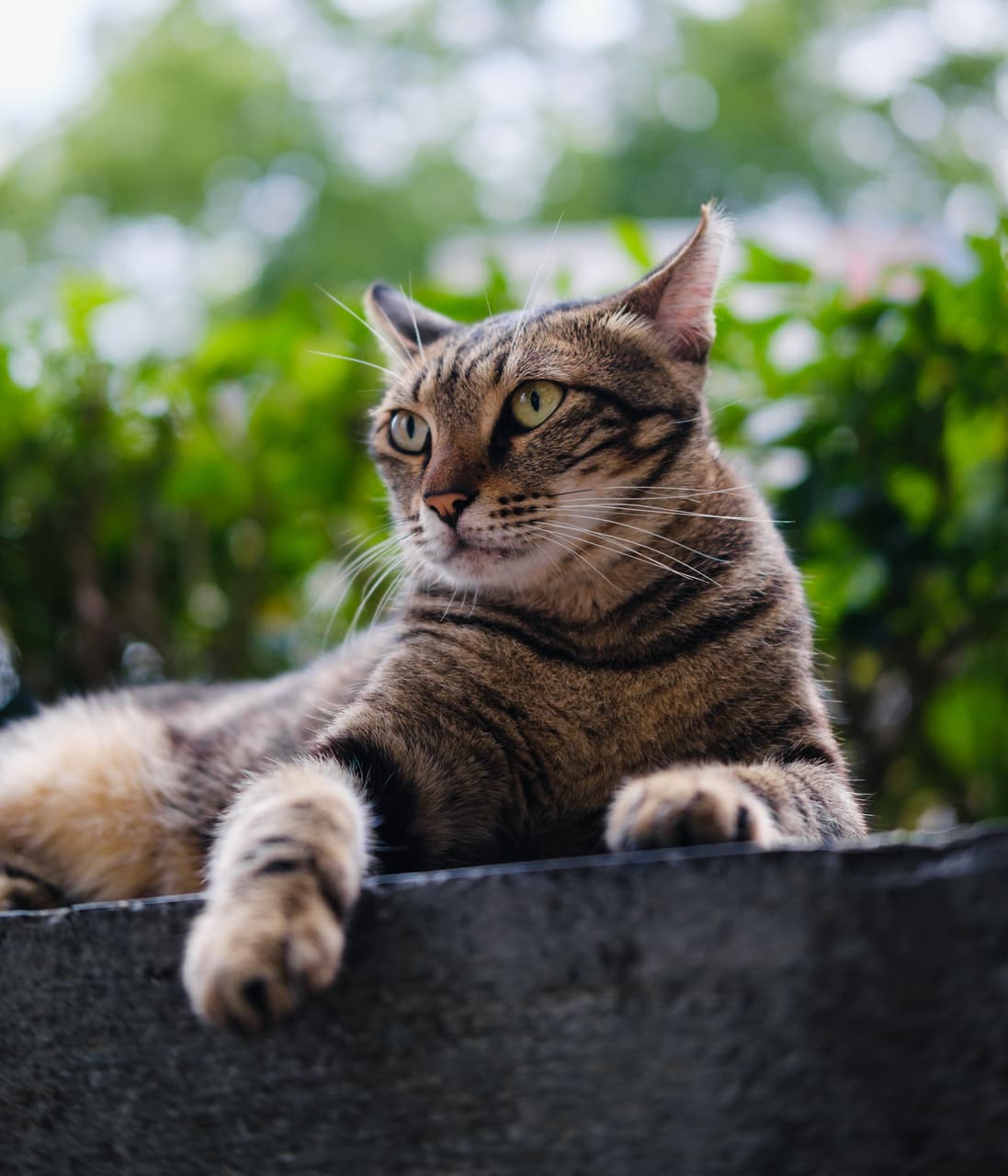 #作品 X-T20五年回顧 - 攝影板 | Dcard