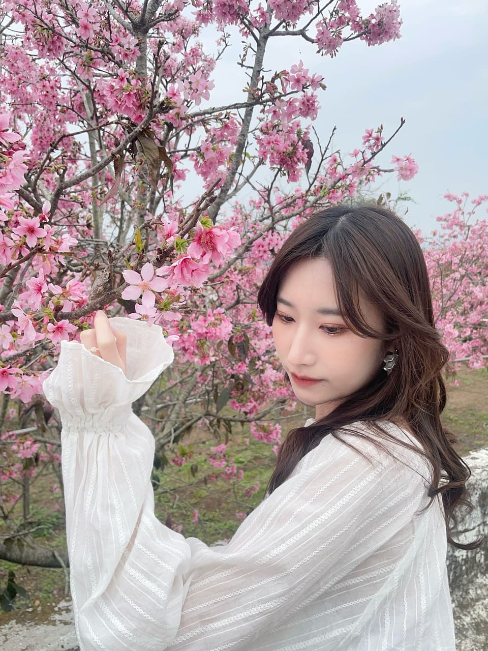 賞櫻的季節🌸+白色系穿搭 - 想睡覺的鼠 (@ayanezu) | Dcard