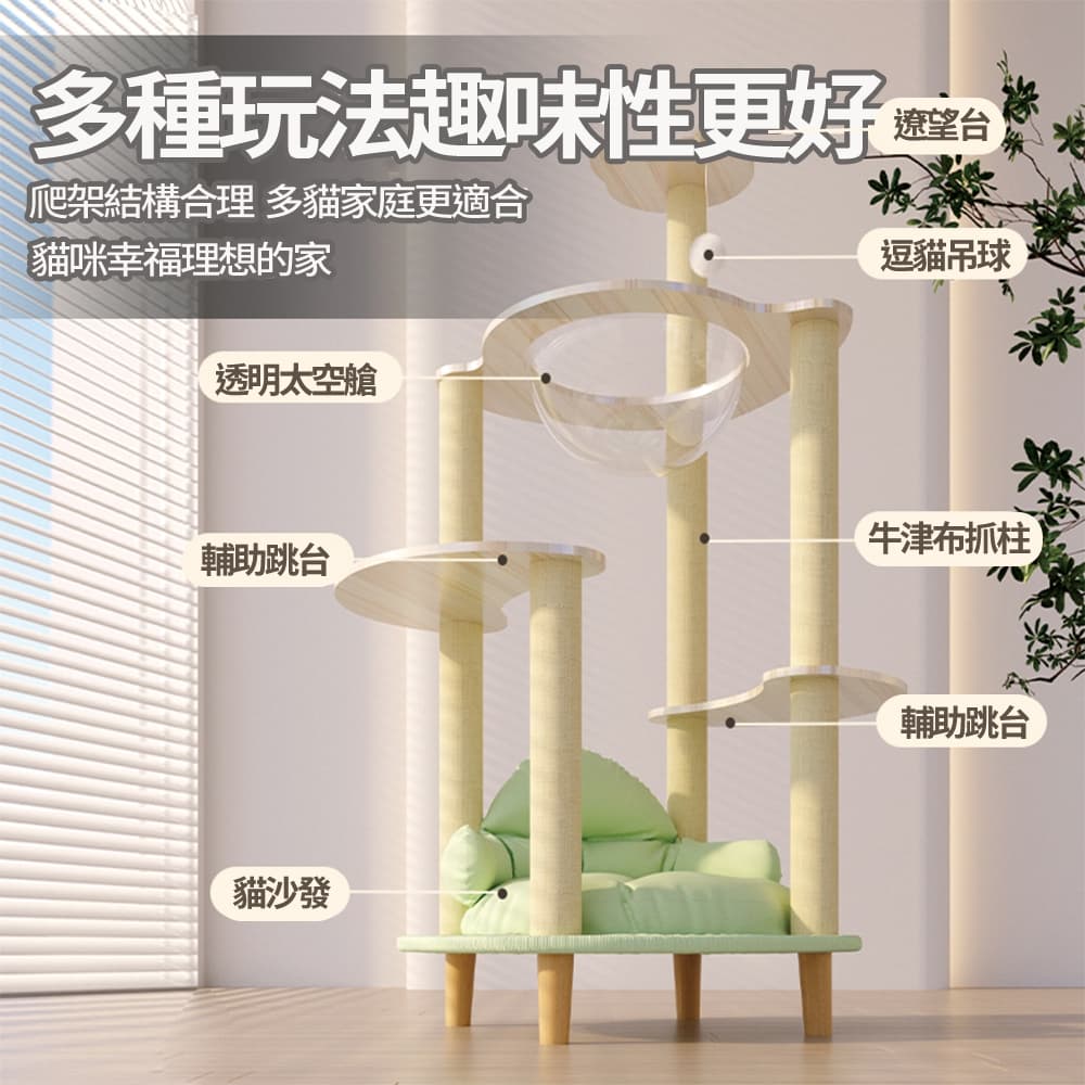 主子終於滿意了！2025年5款高CP值貓跳台血淚推薦 - 好康實驗室 (@az160_po) | Dcard