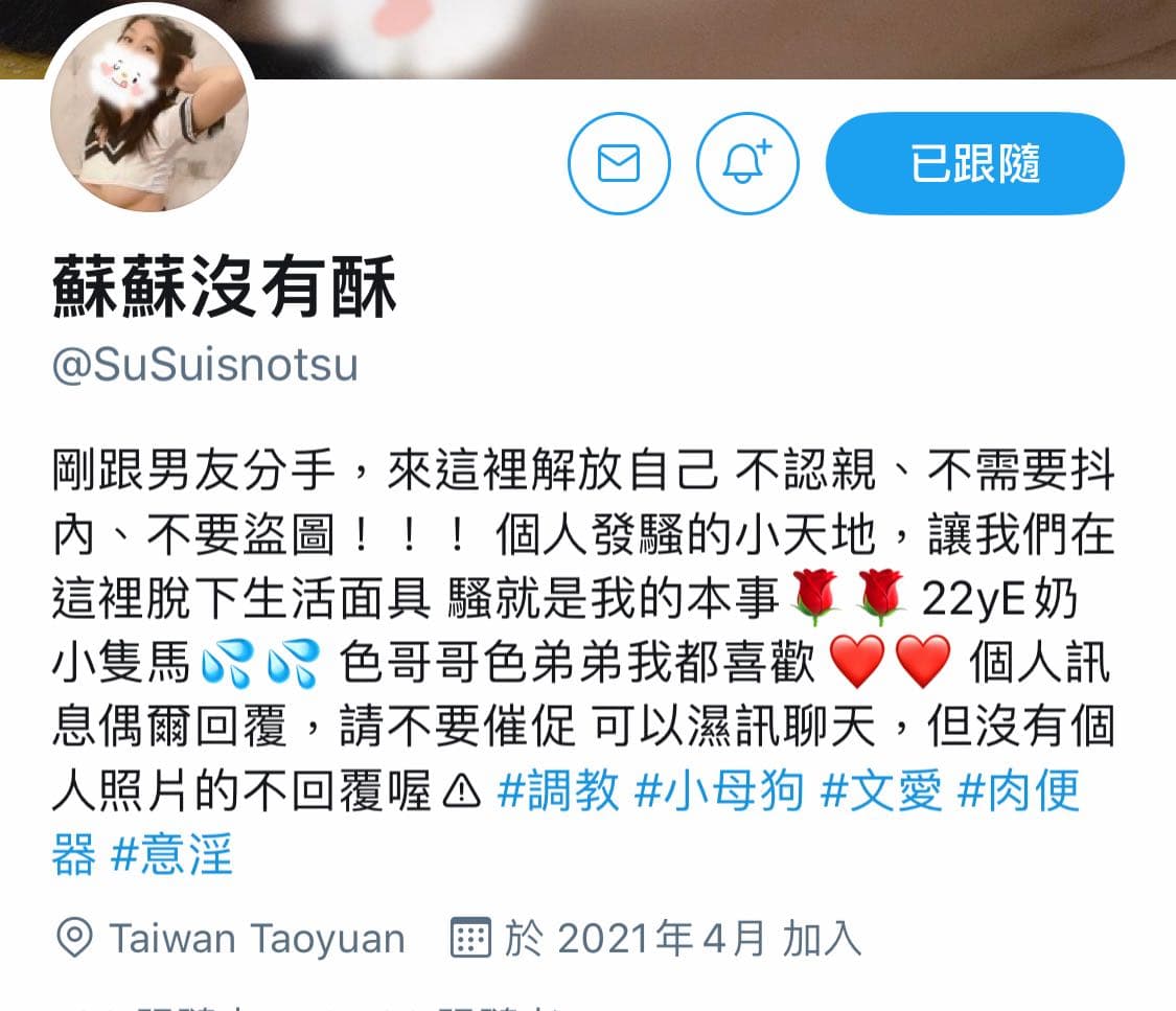 推特假帳號分享 - 西斯板 | Dcard