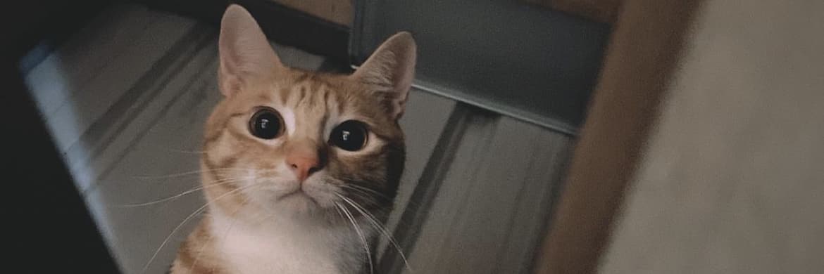 世勳的小檸檬🍋 (@o7_gyeol) | Dcard