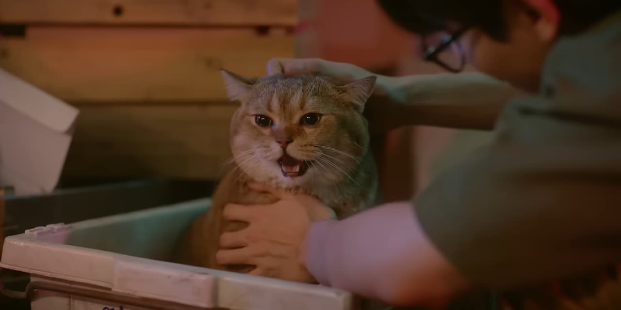 #泰腐 Cherry Magic 泰版櫻桃魔法 EP1 全劇透心得 - BL影視板 | Dcard