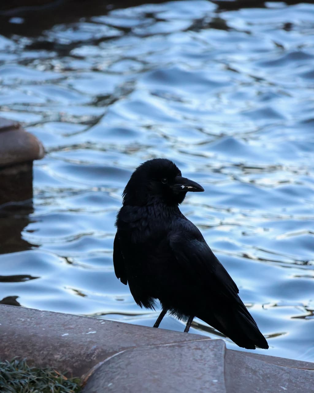 雞腿小公主 (@rei_1998) | Dcard