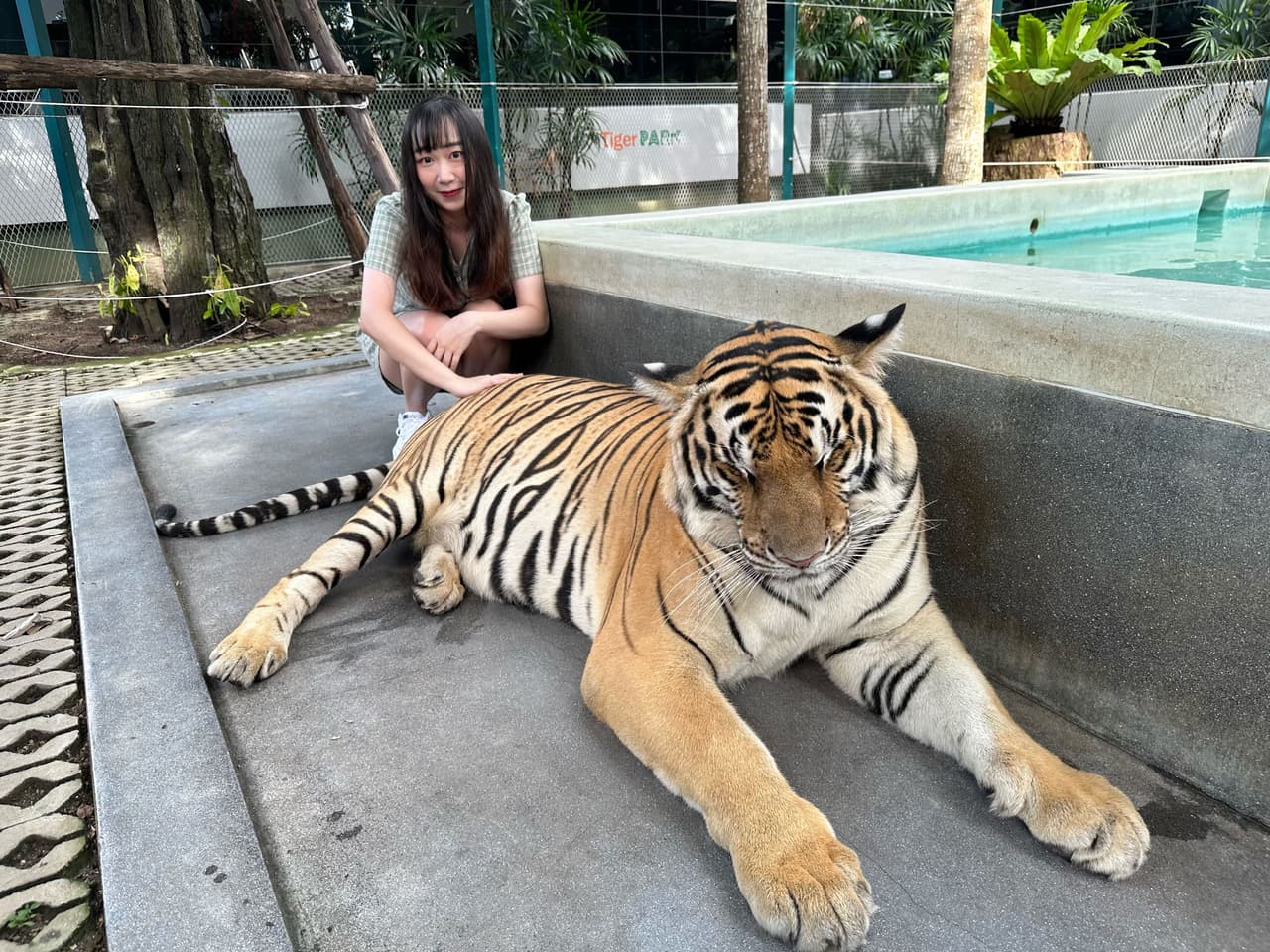 從泰國回來啦🇹🇭 - 𝓘𝓮𝓼𝓼𝓲𝓮 (@wen_1208) | Dcard