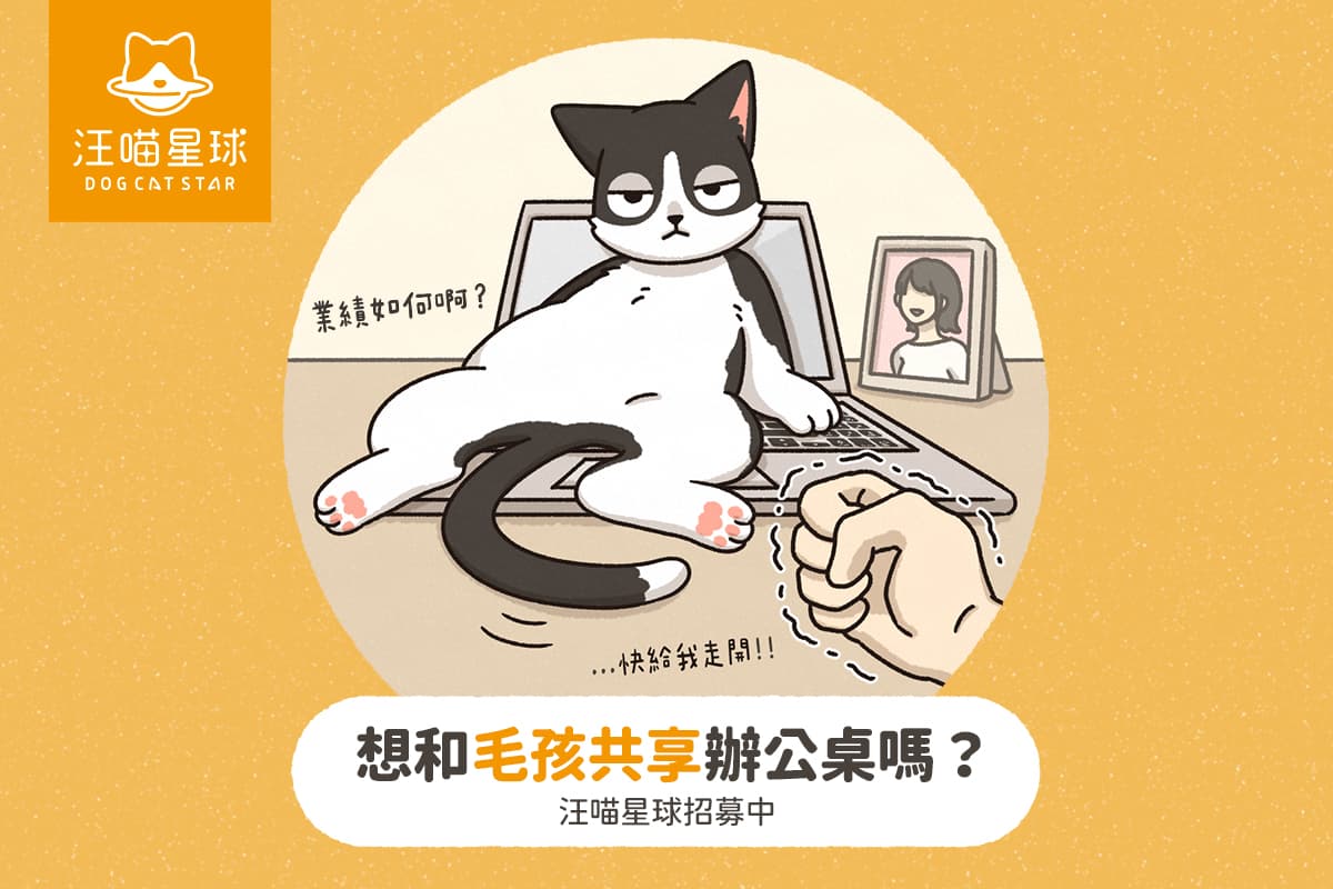 汪喵星球_ Backend Engineer - 工作板 | Dcard