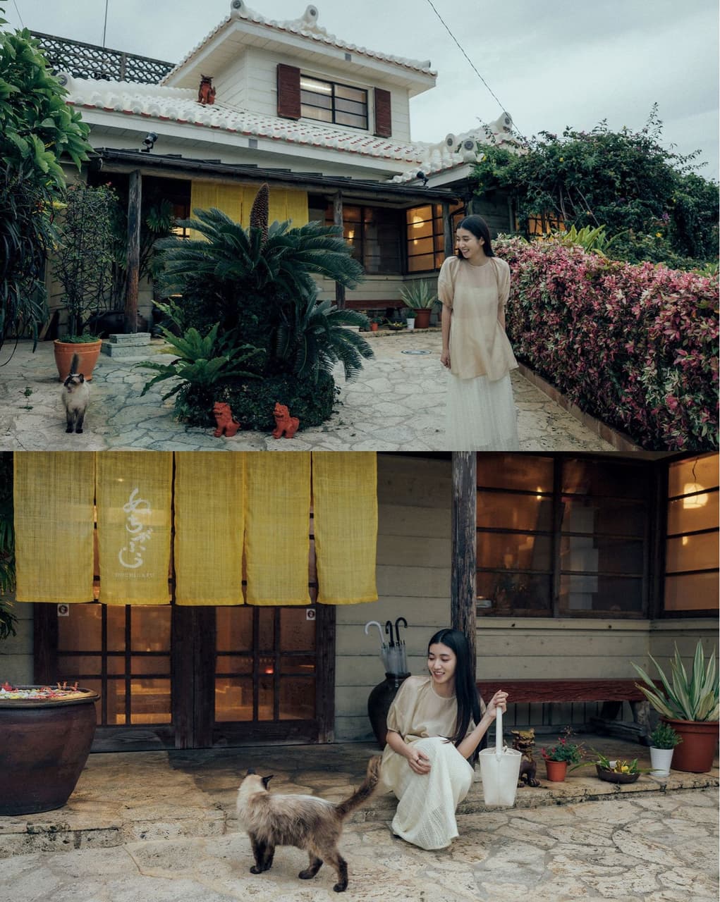 求Meier Q model - 閒聊板 | Dcard