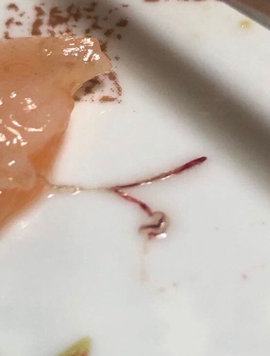 #偷偷又更新 鮭魚生魚片會有血管嗎 - B231 留言 | Dcard