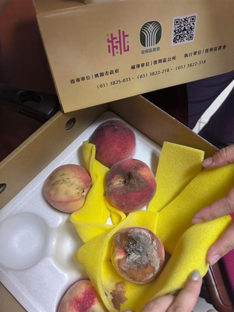 快訊／1200買了個寂寞！拉拉山水蜜桃「僅1顆能吃」找到業者：賠償2盒 - SETN三立新聞網 (@setn54) | Dcard