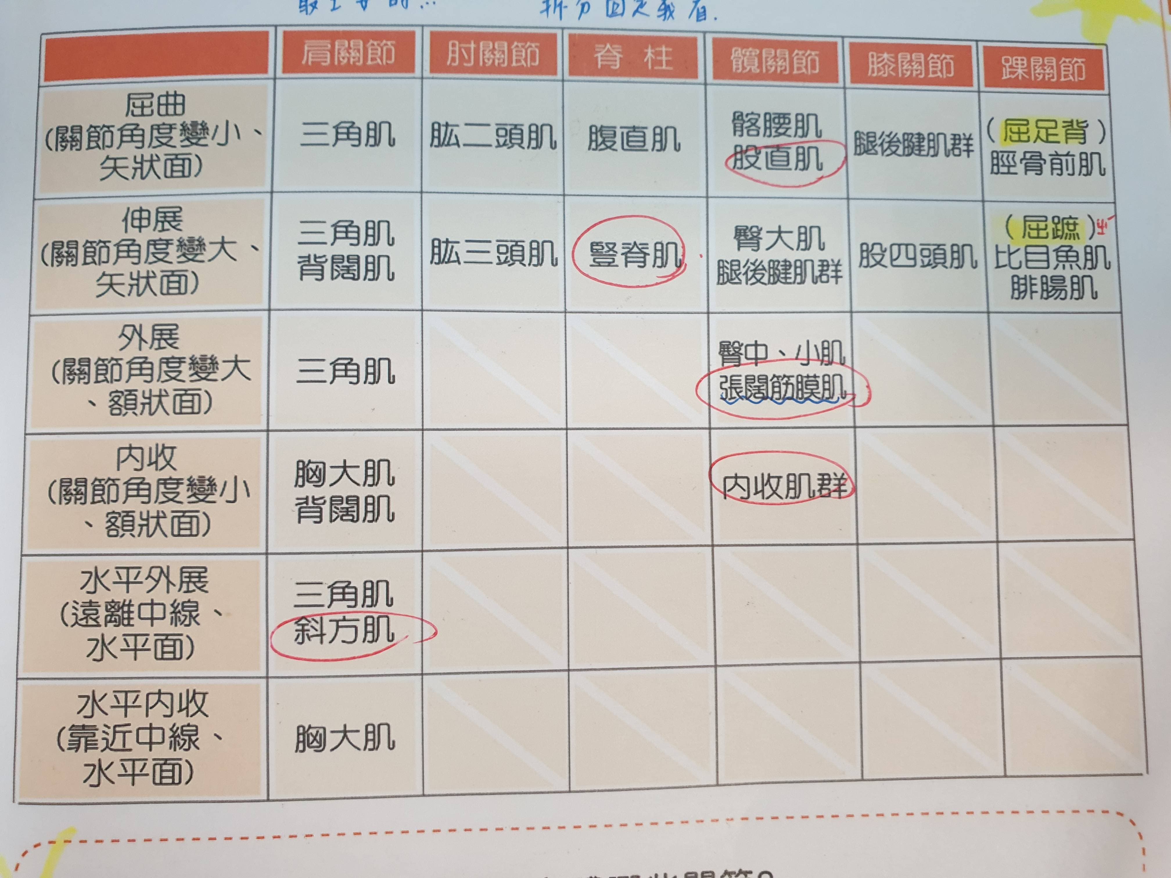 #心得 【體適能健身c級指導員認證】心得分享 - 健身板 | Dcard