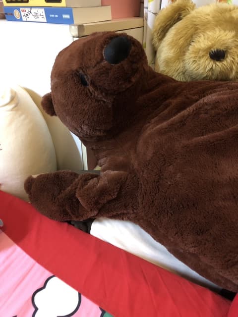 幫ikea大棕熊洗澡澡+換棉花🤤 - B69 留言 | Dcard