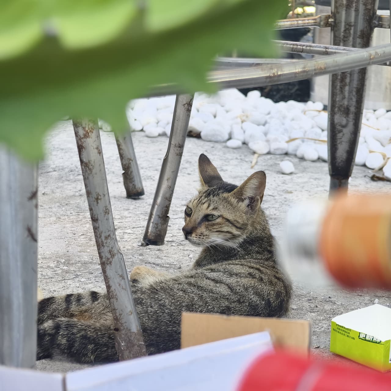 小琉球建築之美 - 阿花阿爽 (@jid_ai2) | Dcard