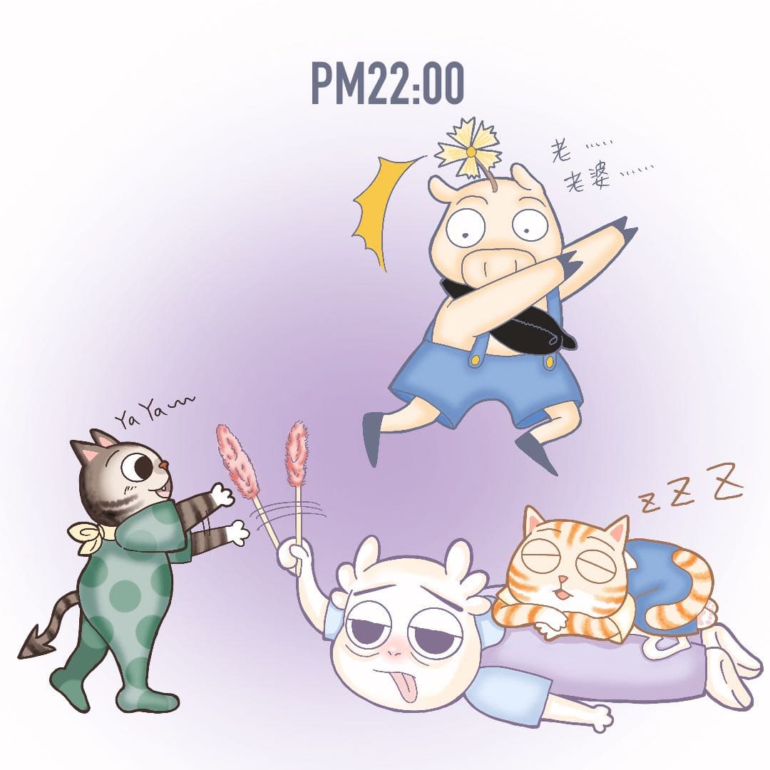 貓日記。part7 碳碳是體力怪物 - 龍豬毛毛🤍 (@dpccsh) | Dcard