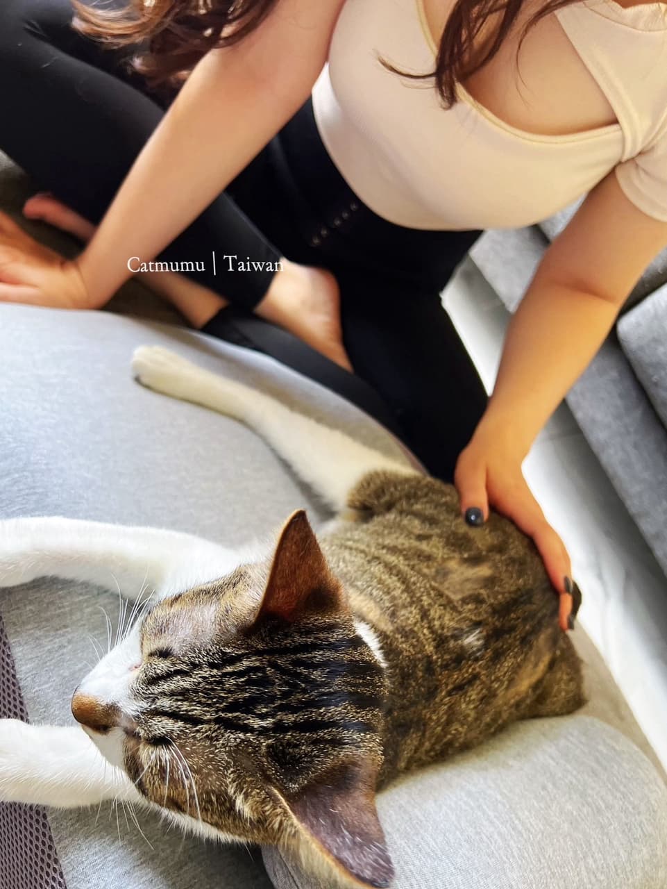 「主人，這是我的墊子欸！」 - catmumu (@cat_mumu) | Dcard