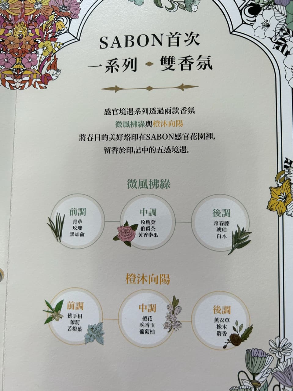 #揪團 Sabon微風拂綠/澄木向陽71折 - 美妝團購板 | Dcard