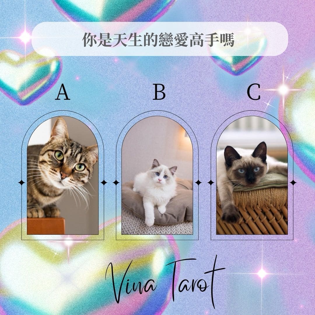 你是天生的戀愛高手嗎（附解答） - 畏娜塔羅 (@vinatarot) | Dcard