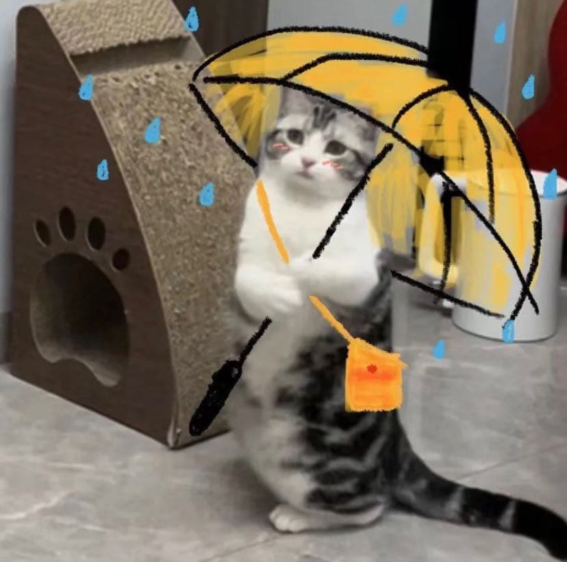 耶～個版開張嘍 - 滴答ฅ (@meow.rain) | Dcard