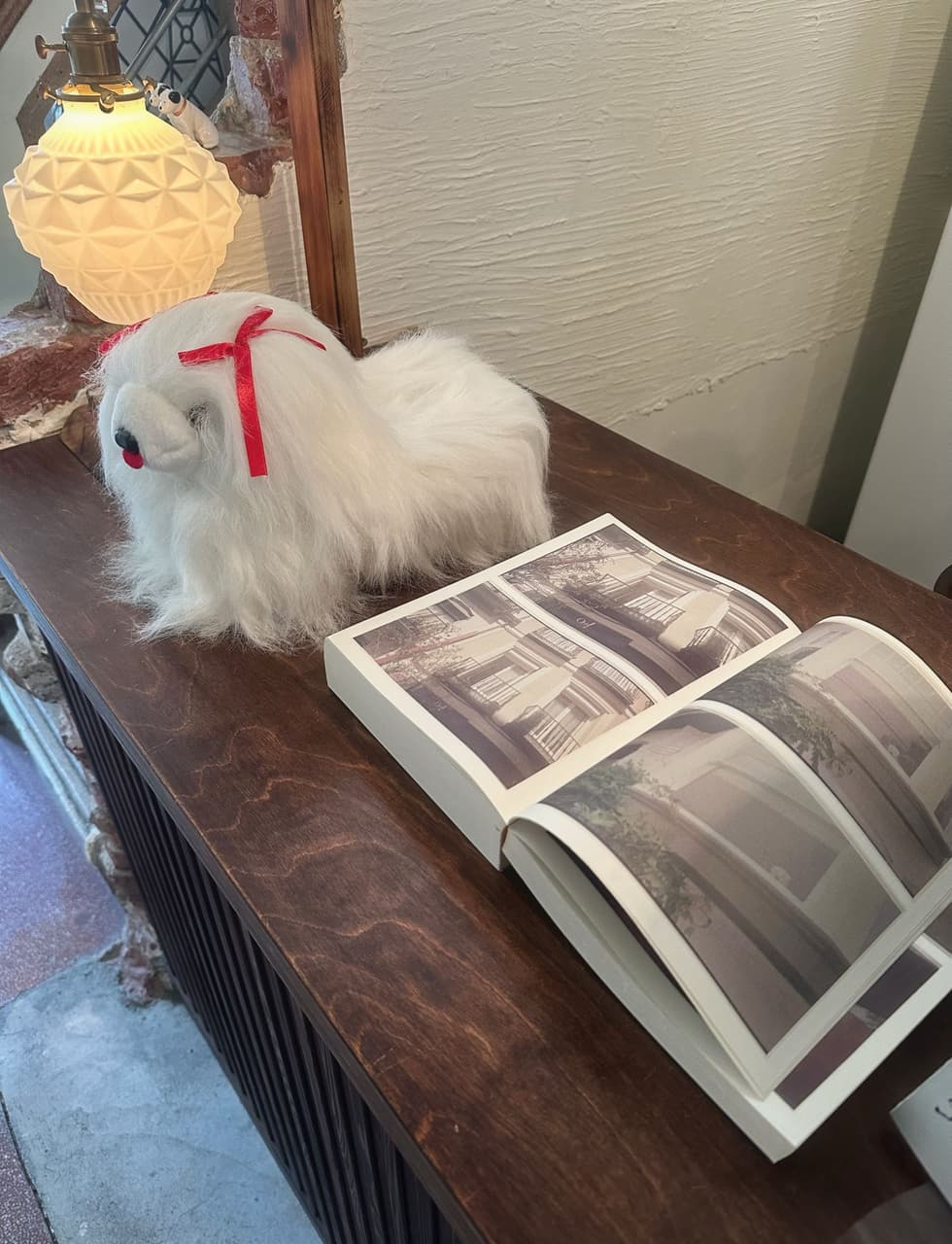 #推薦 超可愛的狗狗咖啡廳🐶wakamodog - 小野芮 (@cerise_2002) | Dcard