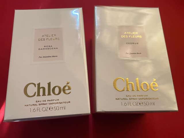 chloe北國雪松 的相關討論與真實心得｜Dcard