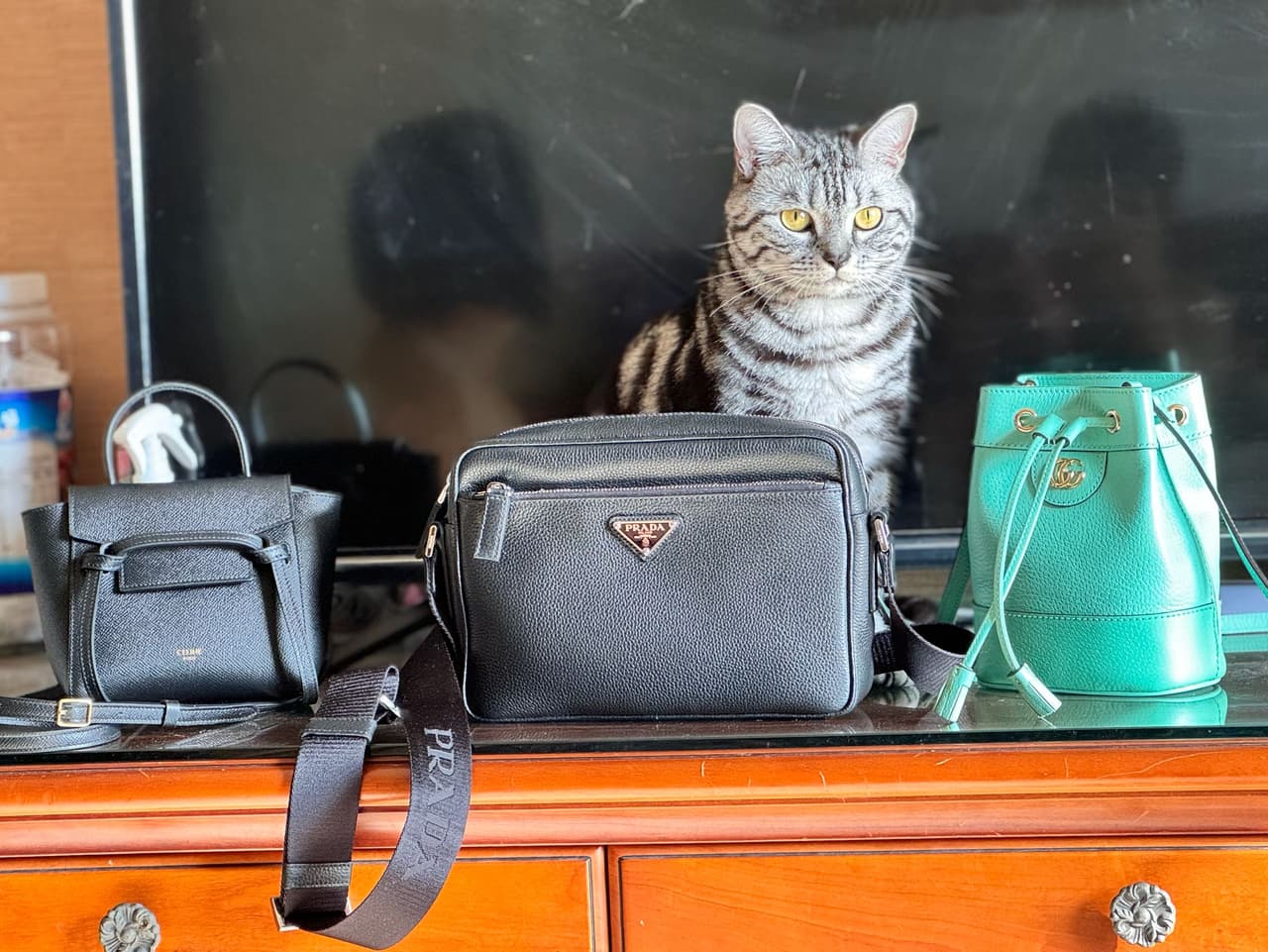 #分享 盤點2024年購買的精品們之華泰淘寶記（CELINE、GUCCI、BV、Prada - 精品板 | Dcard