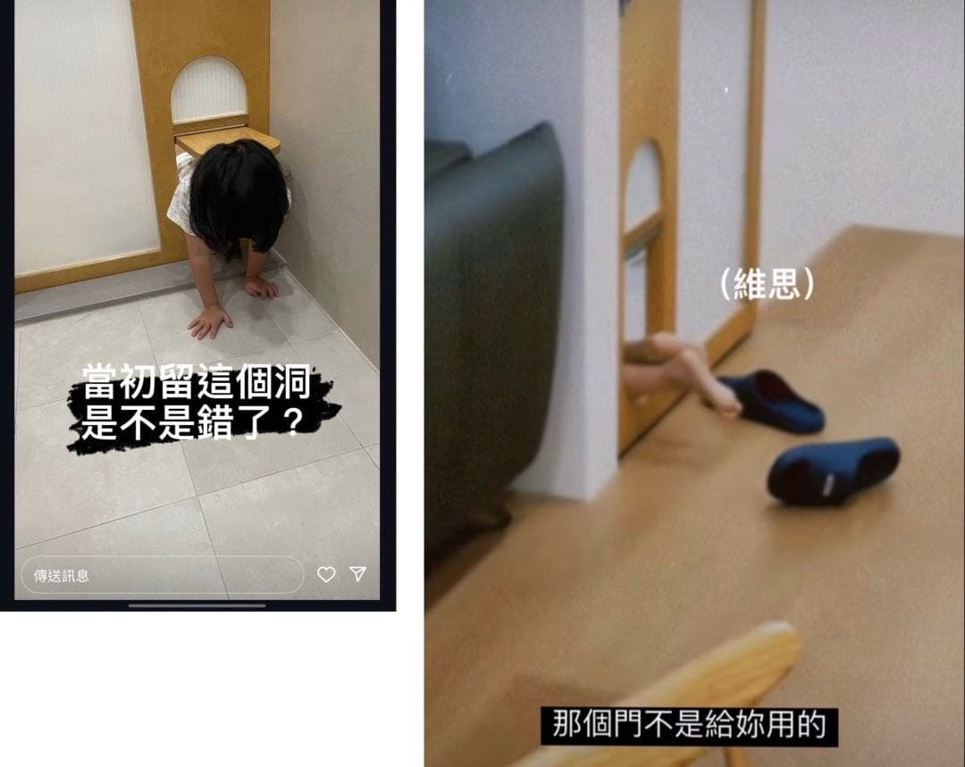 專業貓舍把幼貓養到死光光正常嗎？ - B13 留言 | Dcard