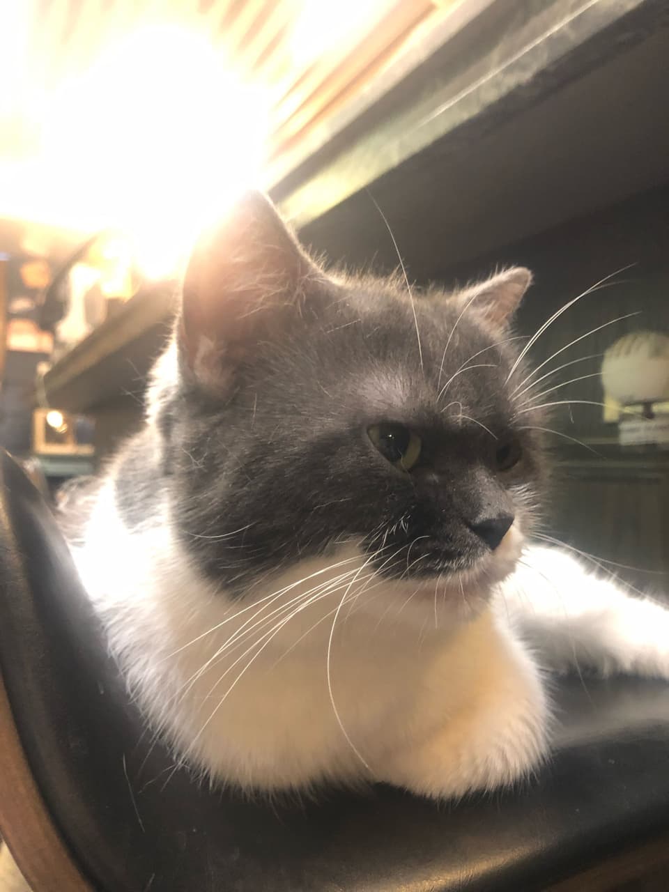 社恐大學生試試看 - B35 留言 | Dcard