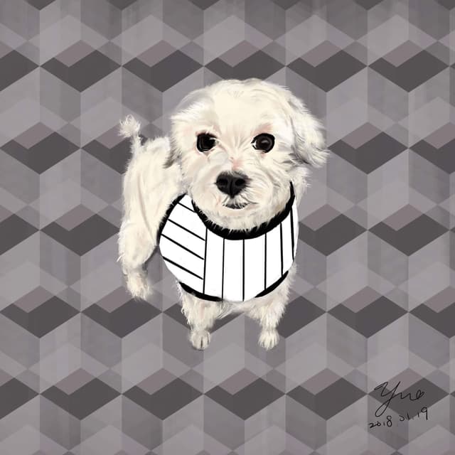 #最後更新。我是一個差勁的主人 - B60 留言 | Dcard