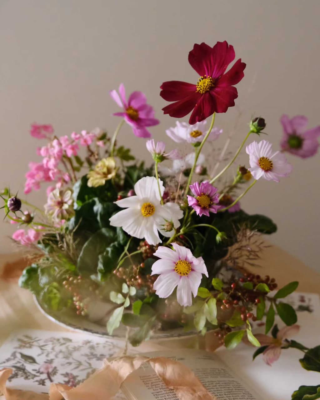 波斯菊蔬菜桌花 - 野實 (@snow.1999) | Dcard