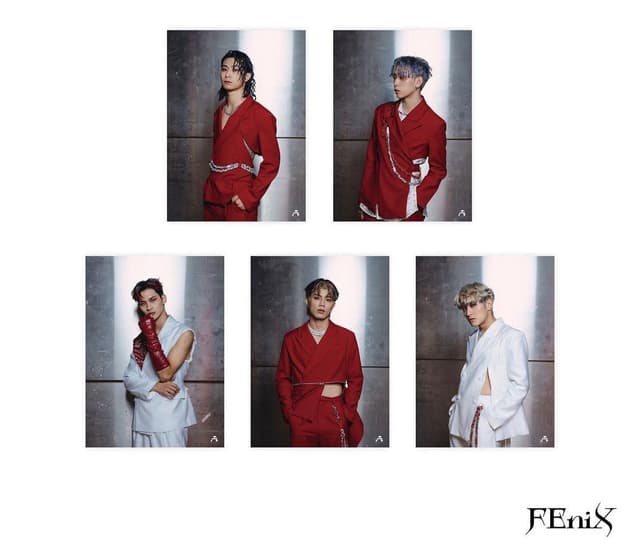 #徵 FEniX周邊 海報開團 - 原子少年板 | Dcard