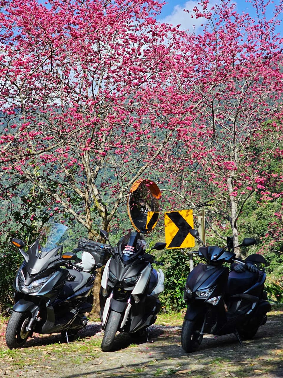 xmax二手 的相關討論與真實心得｜Dcard