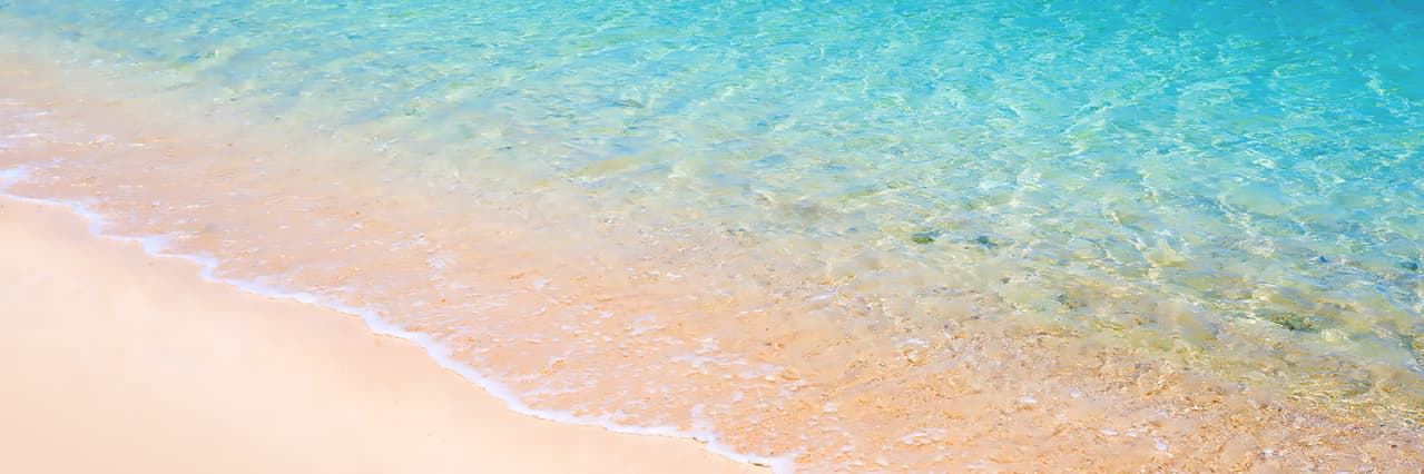 Annie (@annie0315) | Dcard