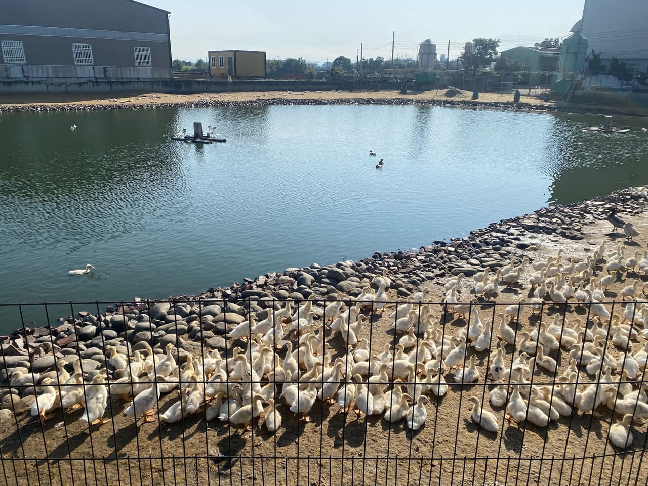 分享愛徒步環島 DAY17斗南-北斗 約27KM - 時光 (@hitime101) | Dcard