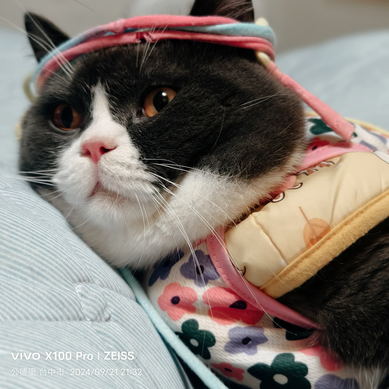 女神雅典娜 - 阿花阿爽 (@jid_ai2) | Dcard