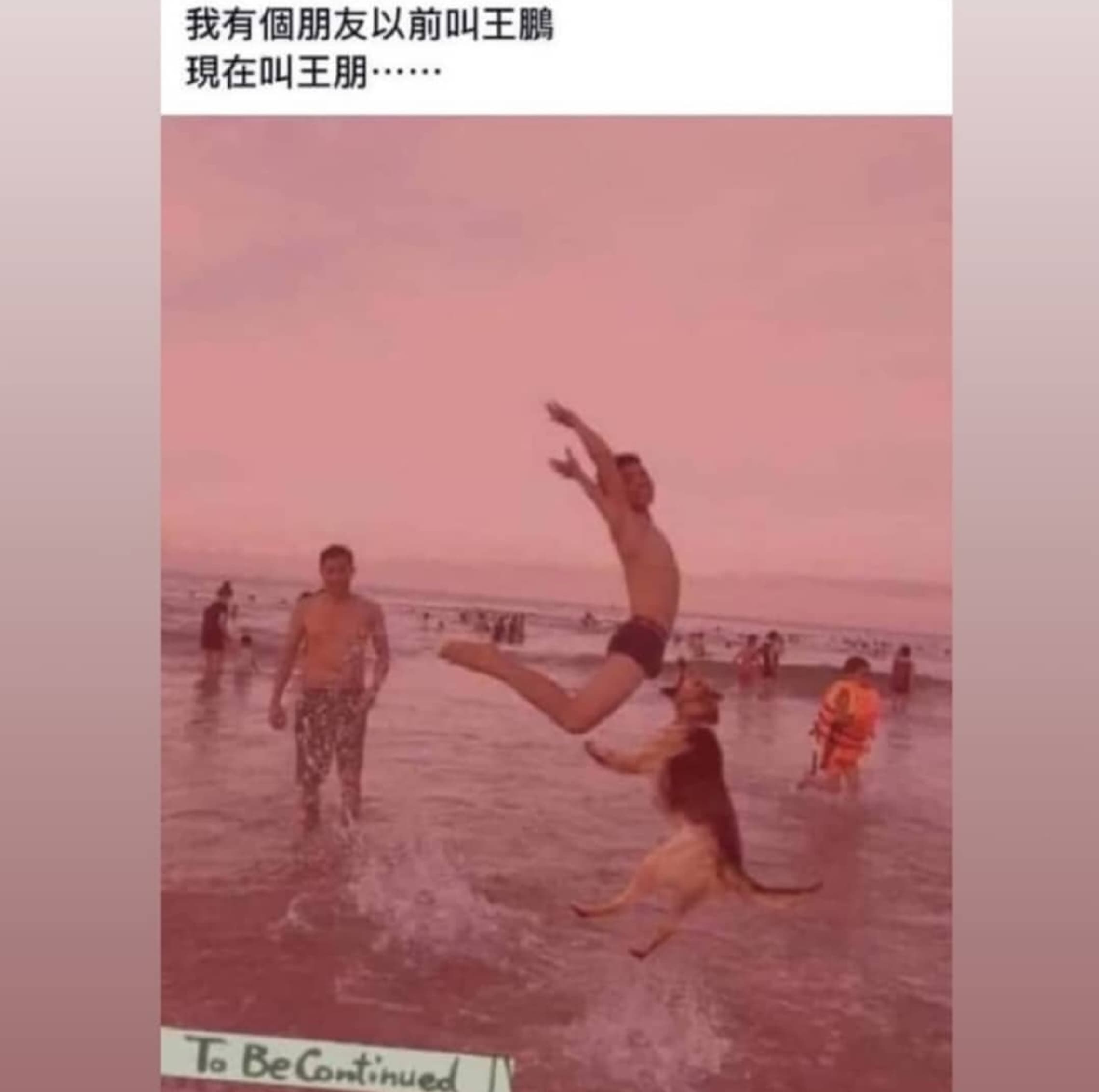 ㄆㄥˊ友 梗圖板 Dcard