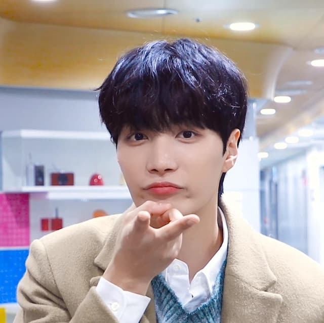 #閒聊 擁有最稀有酒窩的偶像 - NU'EST板 | Dcard