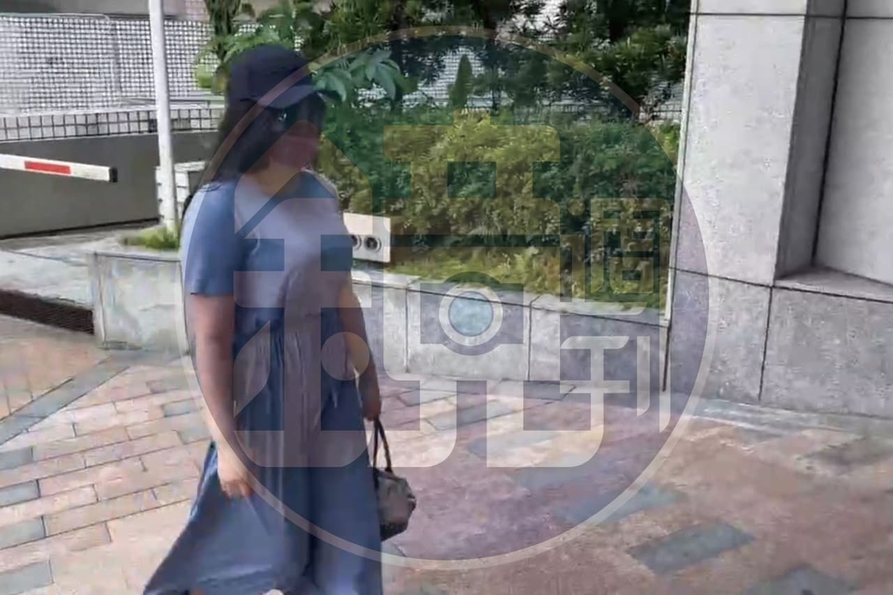 王文洋包養產子案開庭 女大生現身法院畫面曝光 - SETN三立新聞網 (@setn54) | Dcard