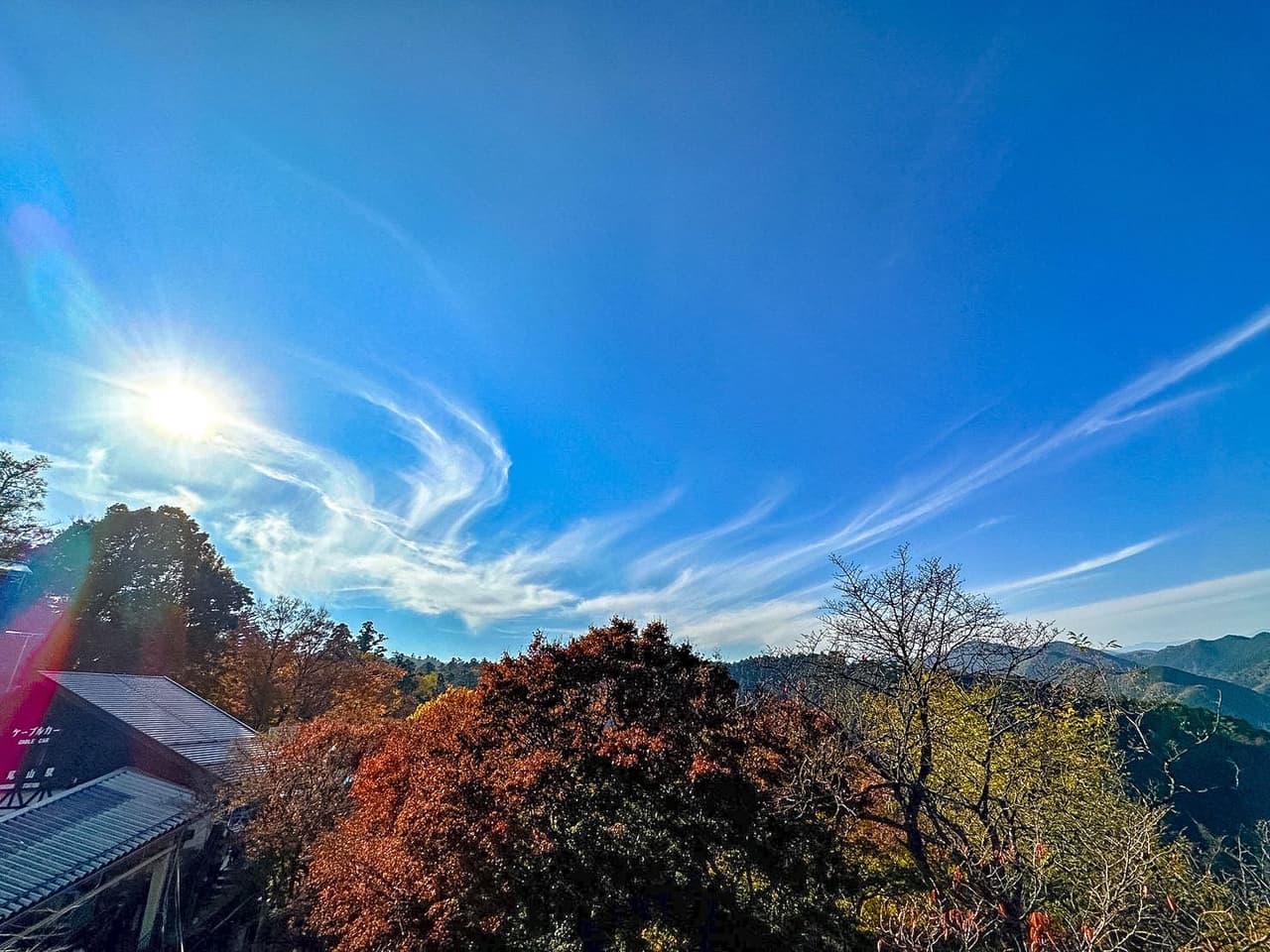 東京第二飛 11月7天自由行 D1-D3 高尾山/上野 楓葉季 - 日本旅遊板 | Dcard