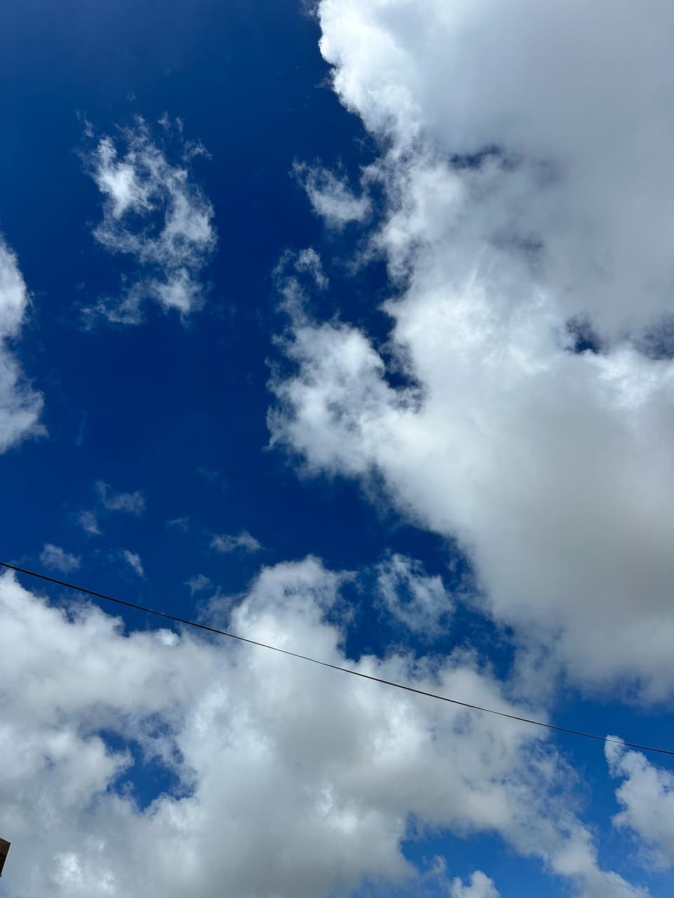 吃冰啦 - 帶刺小助理 (@cc522111) | Dcard