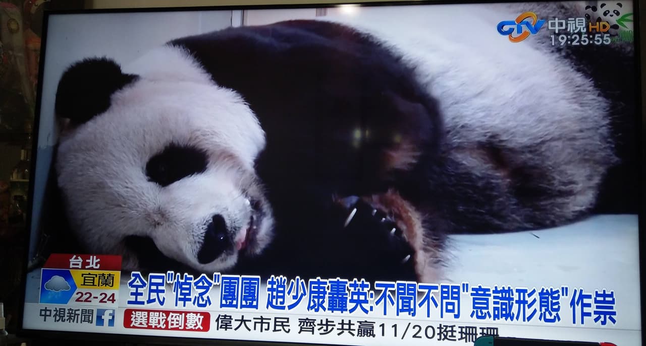 可憐吶😓 時事板 Dcard
