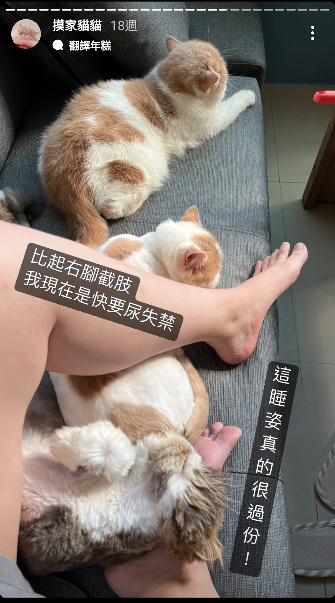 我欠摸哥一個道歉 - YouTuber板 | Dcard