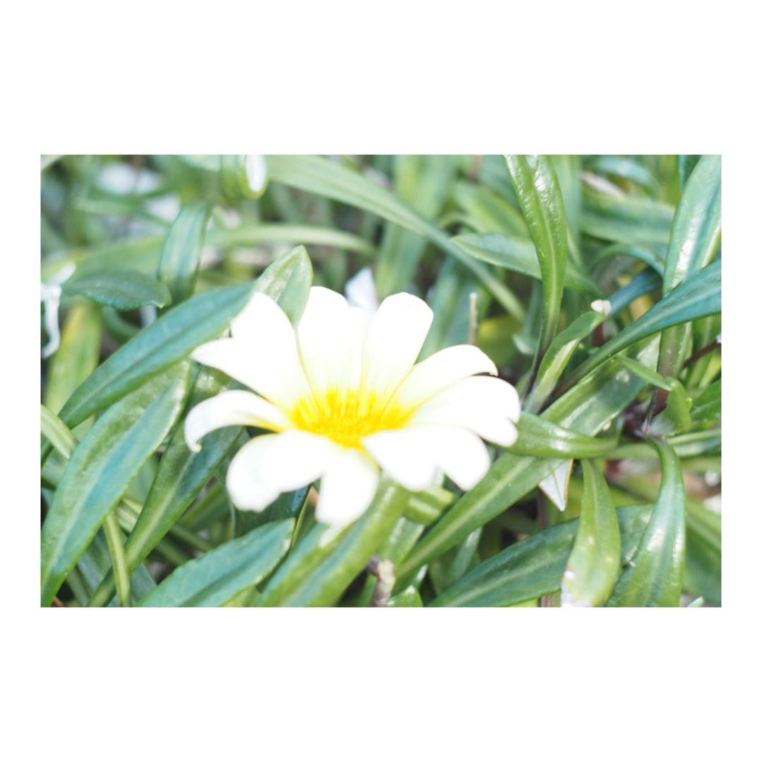 攝影新手的長崎隨拍 - 七七 (@ta_2) | Dcard