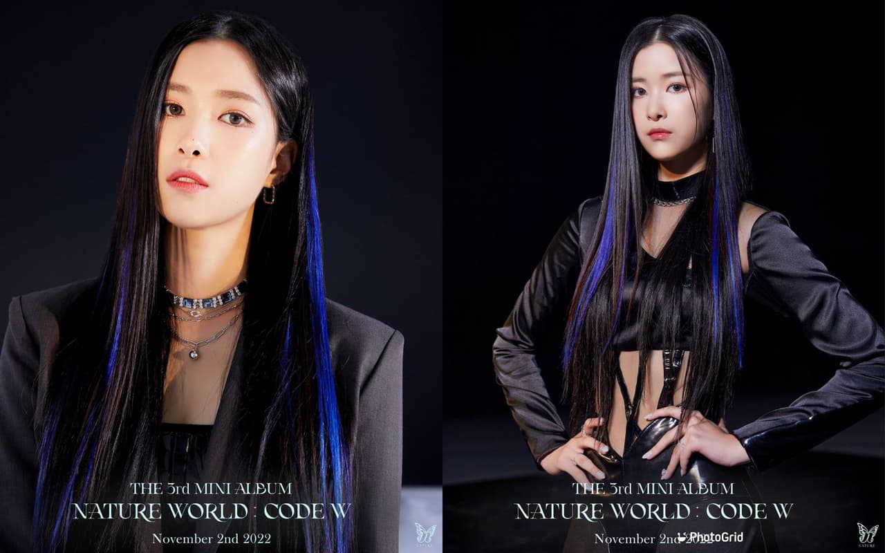 #集中討論 NATURE 11/6 第三張迷你專輯 [NATURE WORLD : CODE W] - 追星板 | Dcard