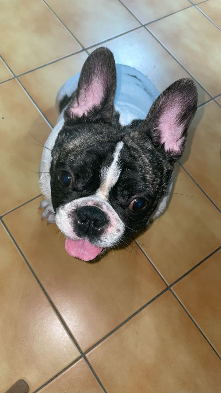 Murphy’s law. - 心情板 | Dcard