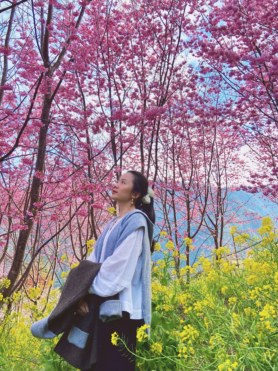 凌晨五點出門的追櫻日記🌸 - 遊台灣。趣旅行 (@sandy_1995) | Dcard