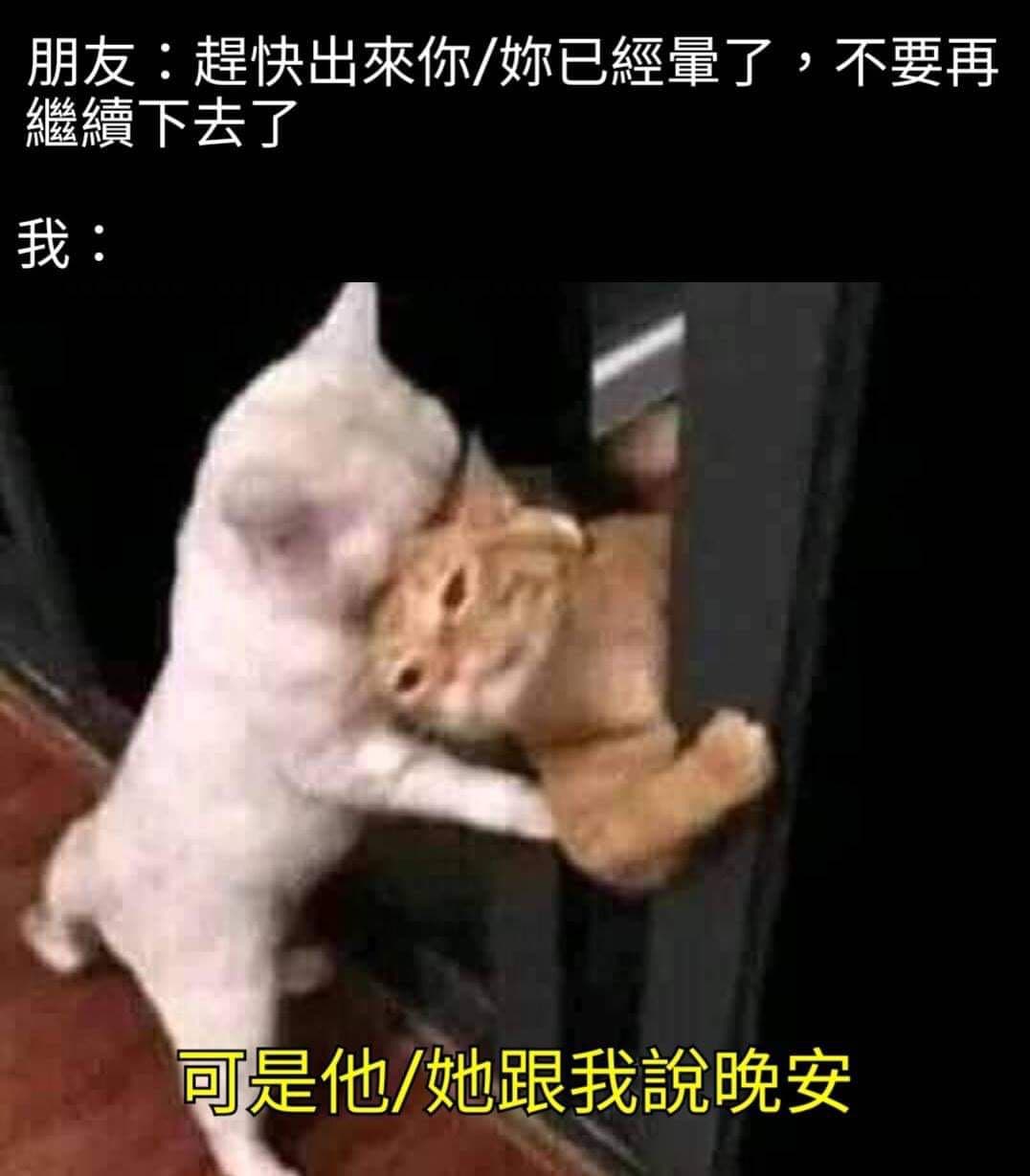 好暈一直暈,該下船了嗎🥲 梗圖板 Dcard